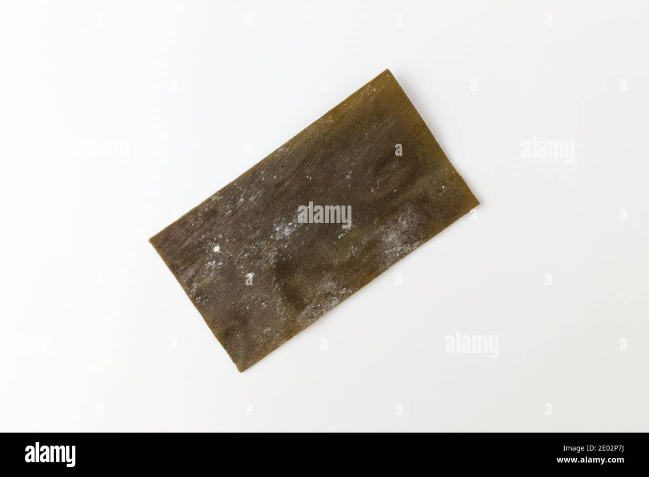 Square kelp on a white background Stock Photo - Alamy
