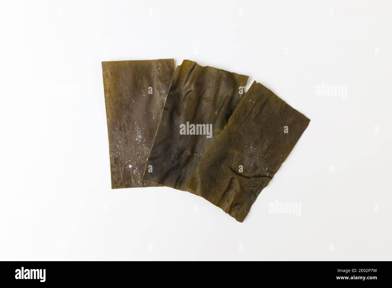 Square kelp on a white background Stock Photo - Alamy