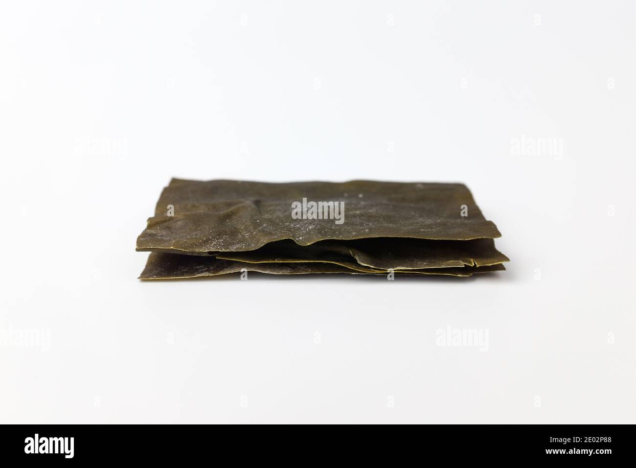Square kelp on a white background Stock Photo - Alamy
