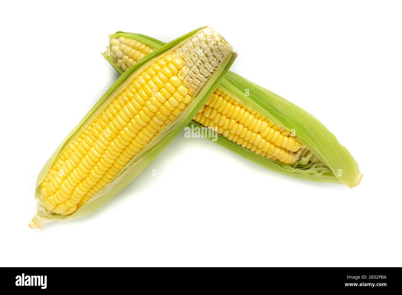 Fresh corn isolated on white background as package design element ...