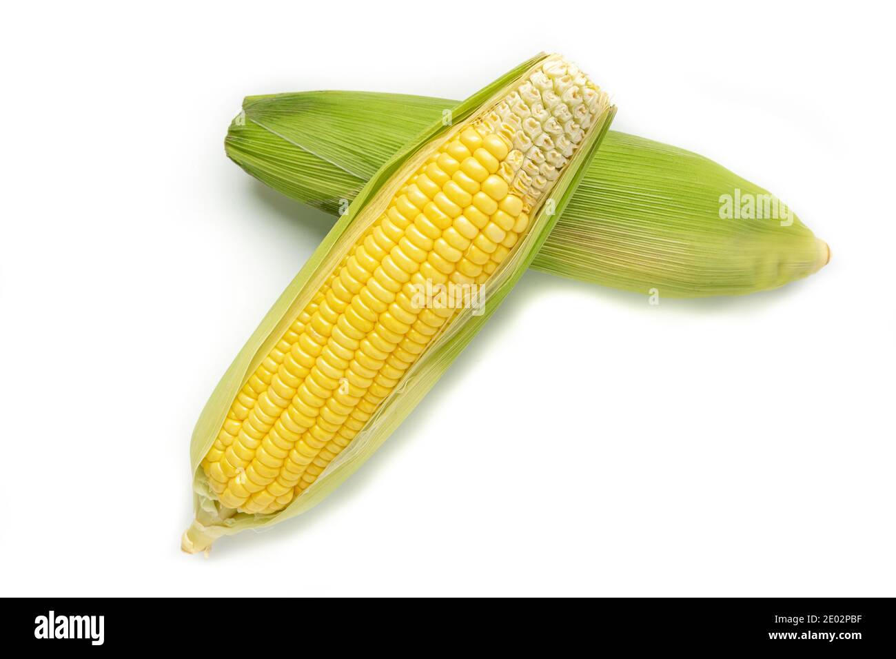 Fresh corn isolated on white background as package design element ...