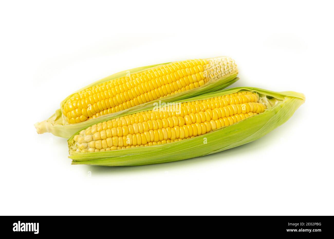 Fresh corn isolated on white background as package design element ...
