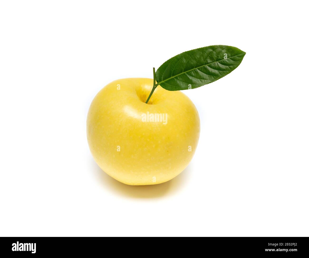 Organic Chinese pear or Korean snow pear isolated on white background ...