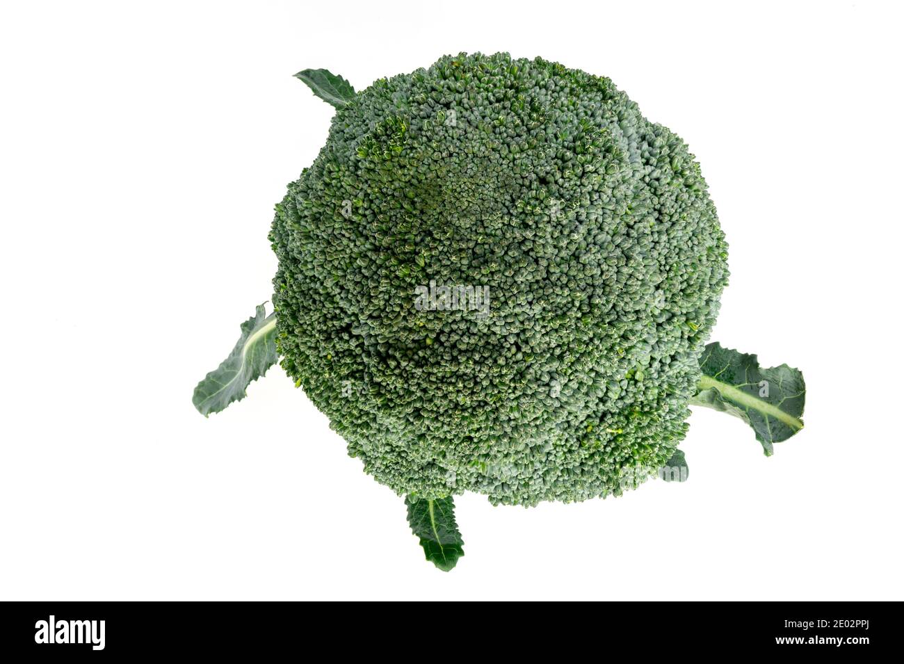 Top view. Fresh broccoli vegetable isolated on white background. vegan ...