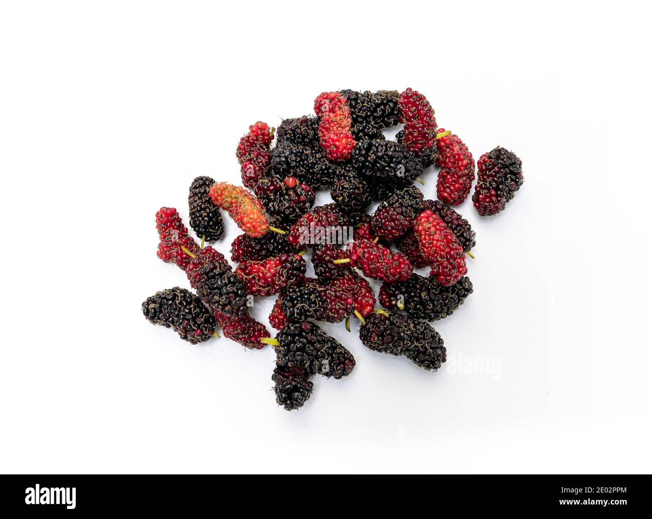 organic mulberry fruit isolated on white background. healthy mulberry ...