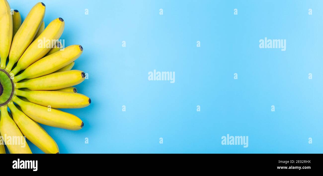 Bananas background. Bananas on a pure blue banner background. Summer ...