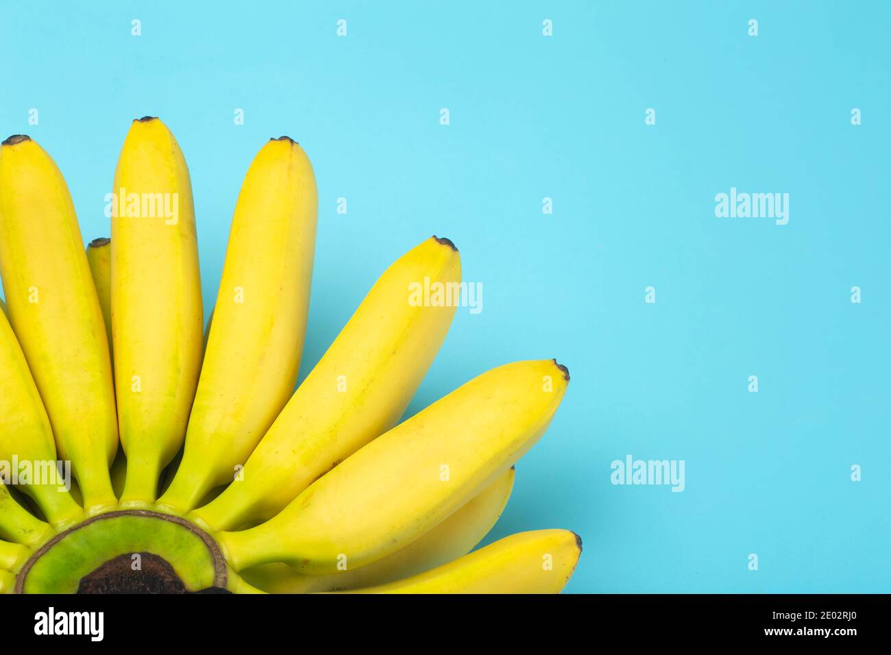 Bananas background. Bananas on a pure blue background. Summer ...