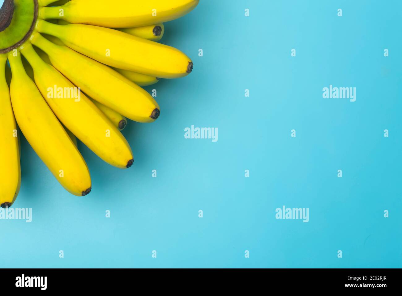 Bananas background. Bananas on a pure blue background. Summer ...