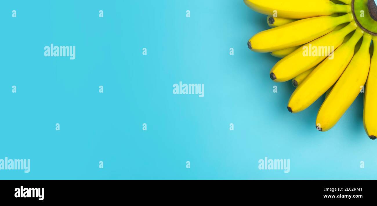 Bananas background. Bananas on a pure blue banner background. Summer ...