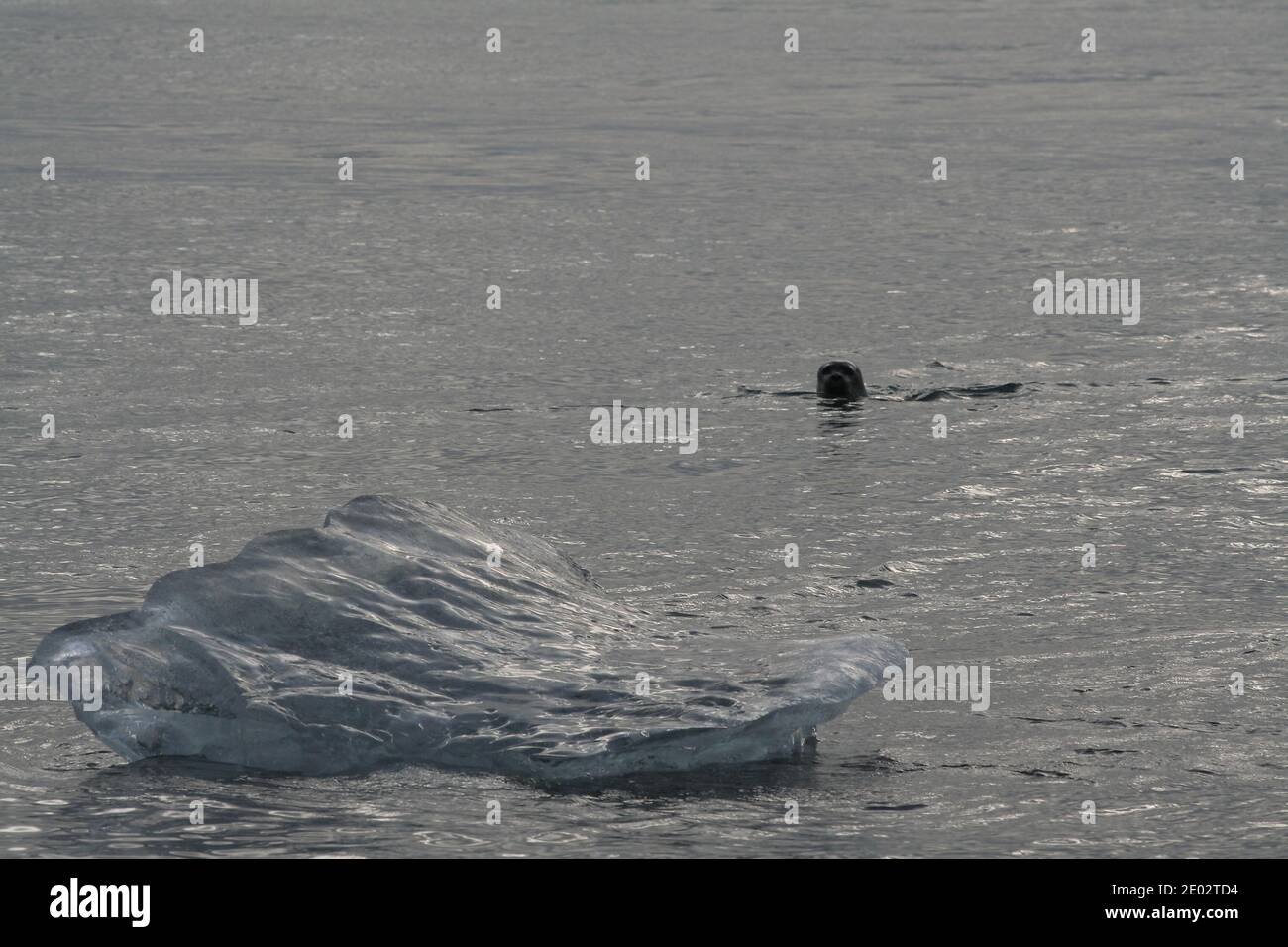 Seal sculptures hi-res stock photography and images - Alamy