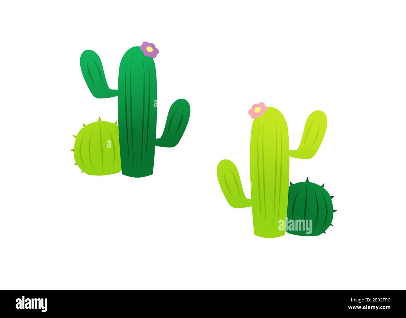 Cacti picture hi-res stock photography and images - Alamy