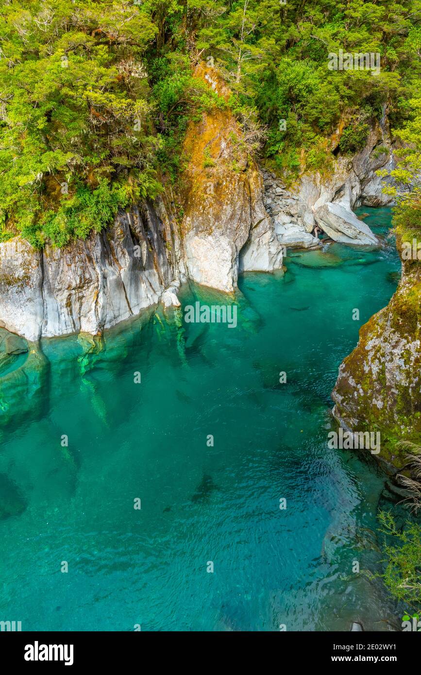 Blue pools at Blue river in New Zealand Stock Photo - Alamy