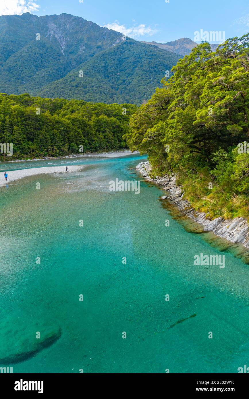 Blue pools at Blue river in New Zealand Stock Photo - Alamy