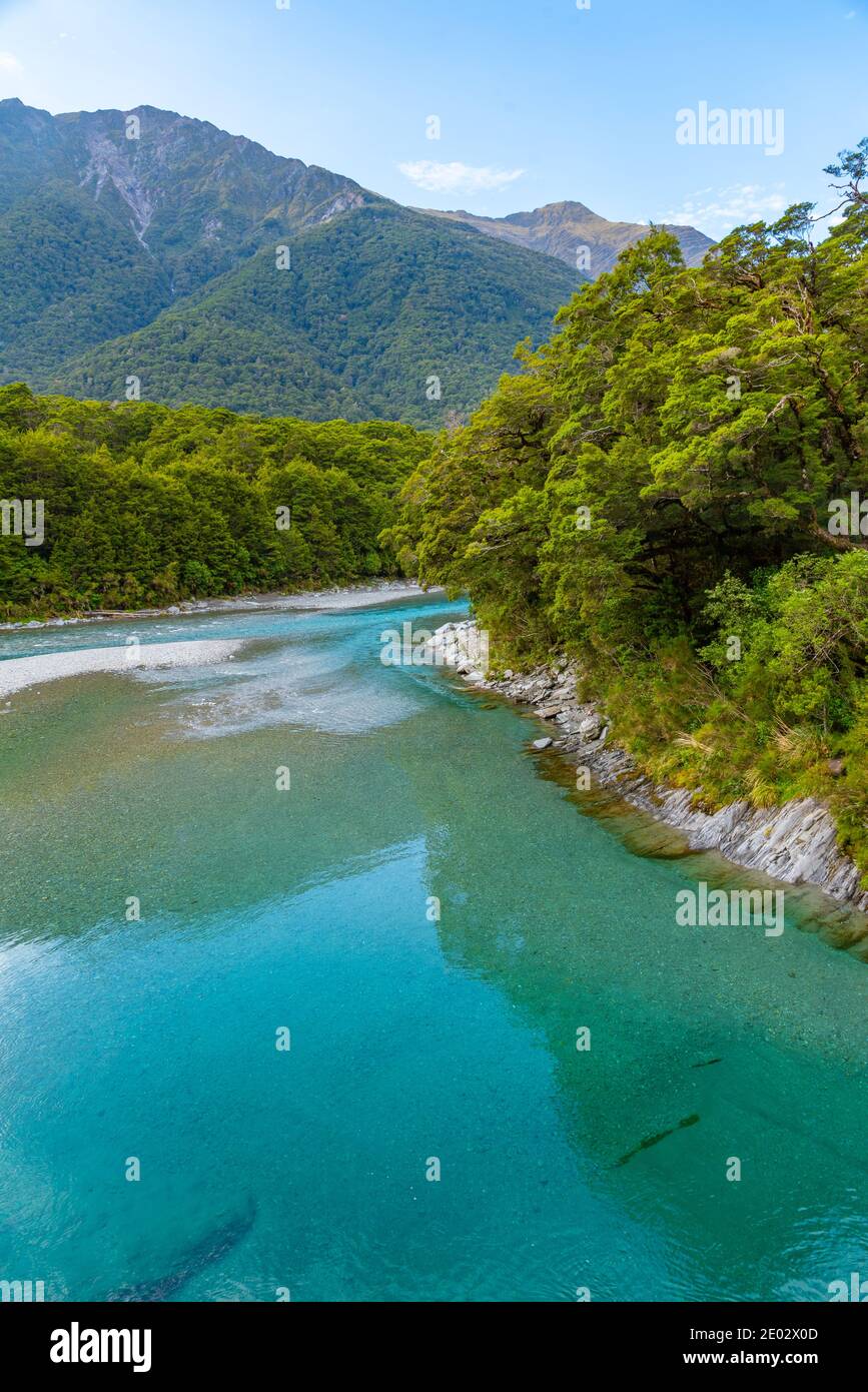 Blue pools at Blue river in New Zealand Stock Photo - Alamy