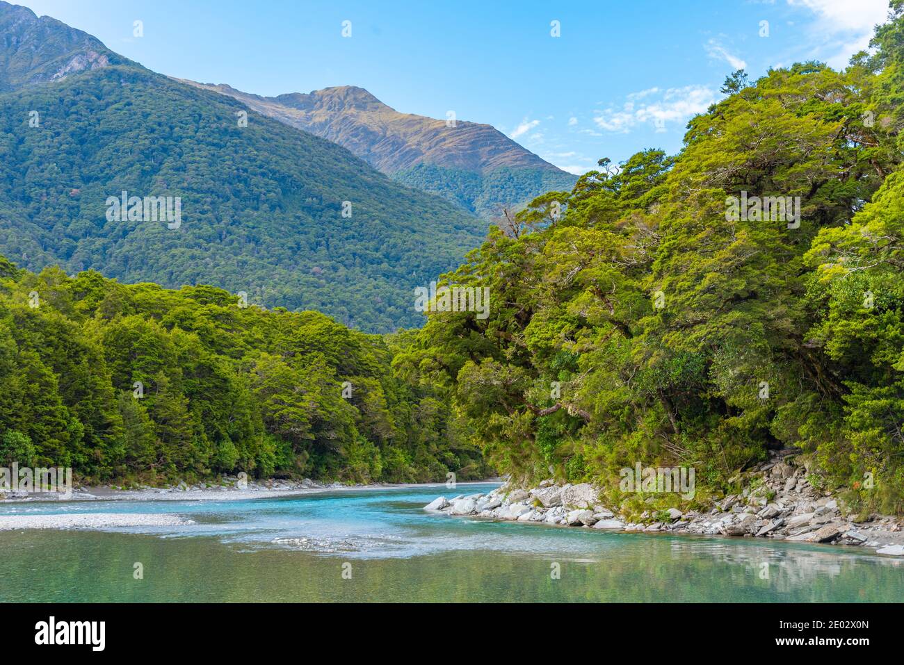 Blue pools at Blue river in New Zealand Stock Photo - Alamy