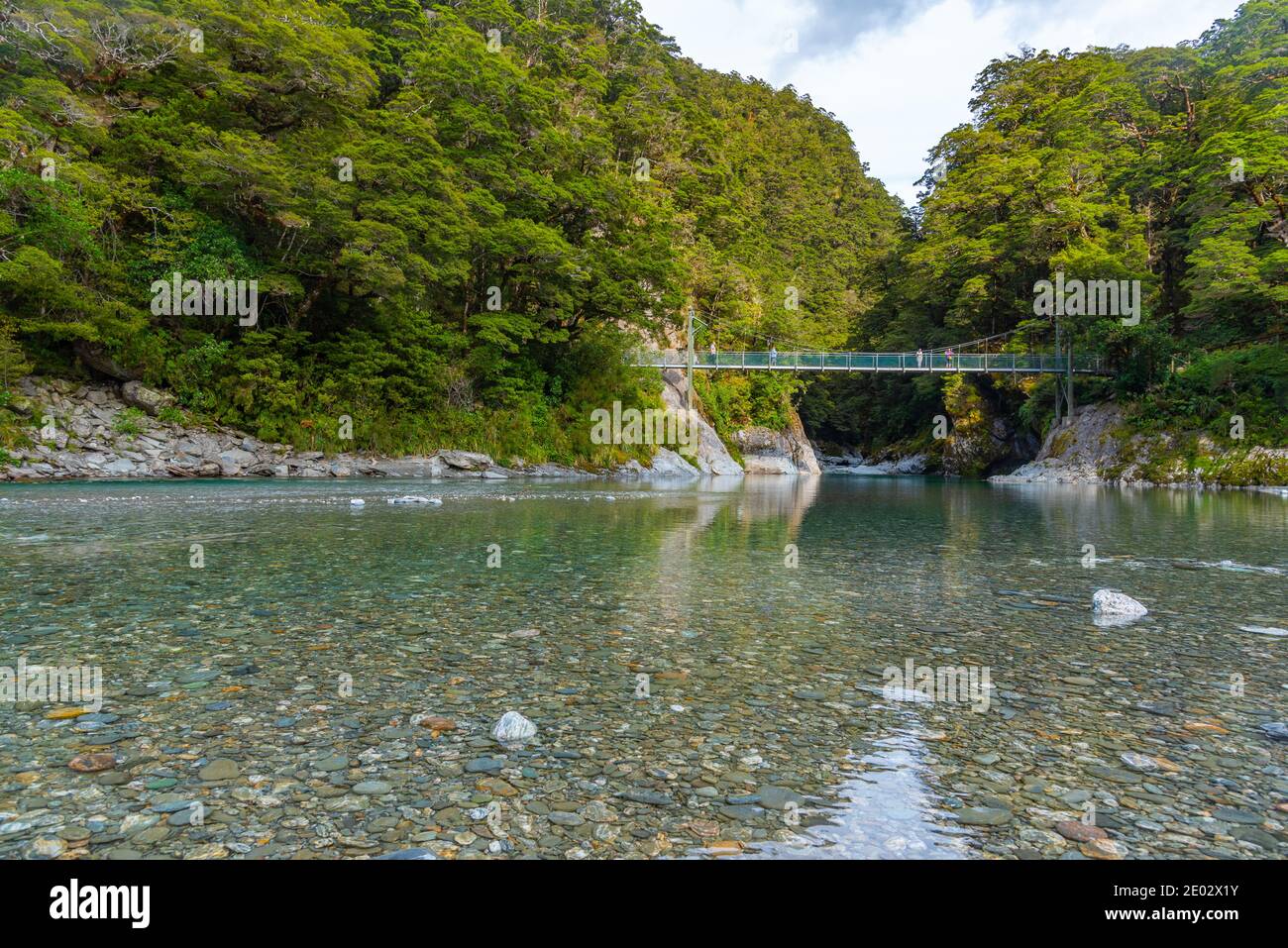Blue pools at Blue river in New Zealand Stock Photo - Alamy
