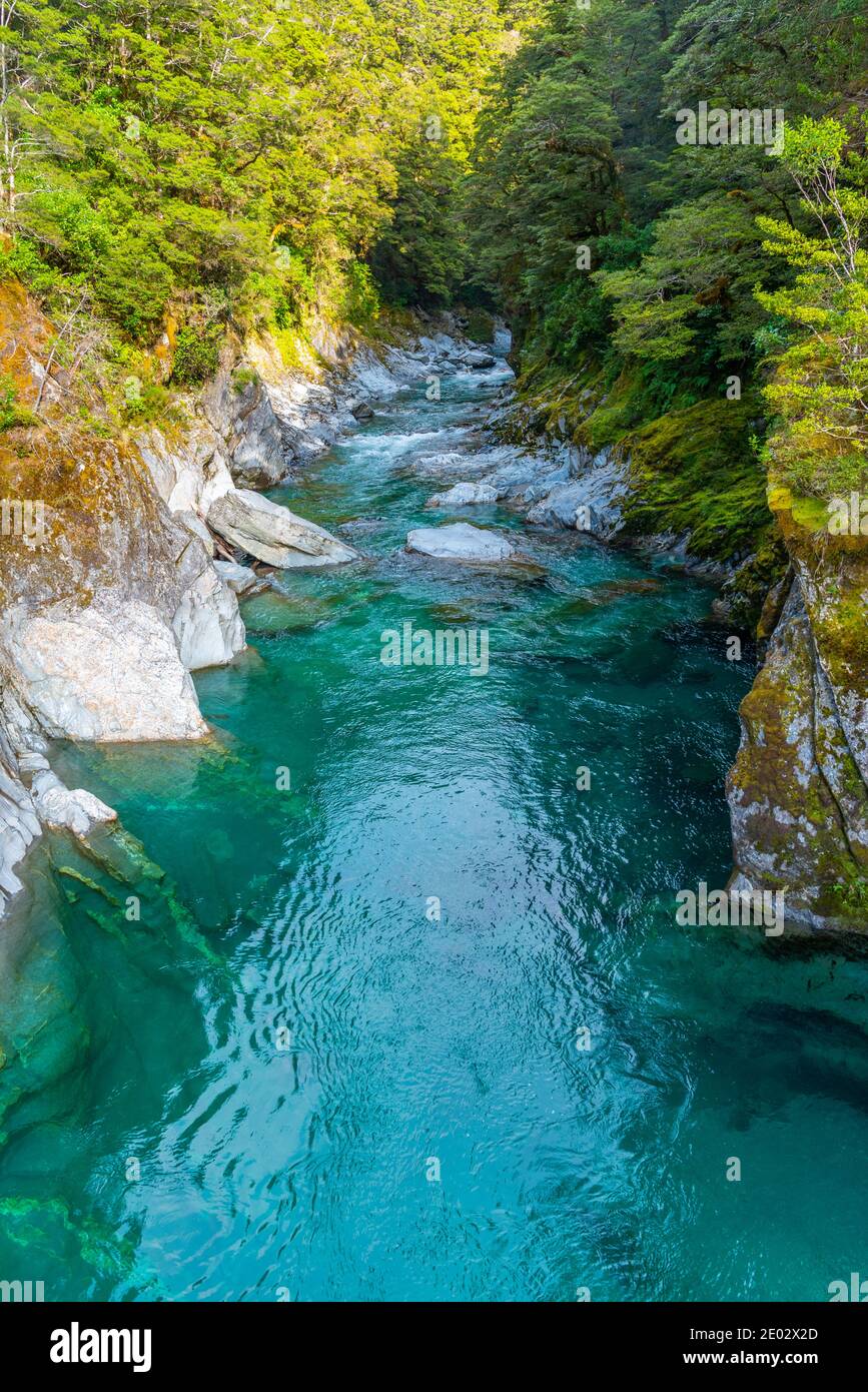 Beautiful makarora river blue hi-res stock photography and images - Alamy
