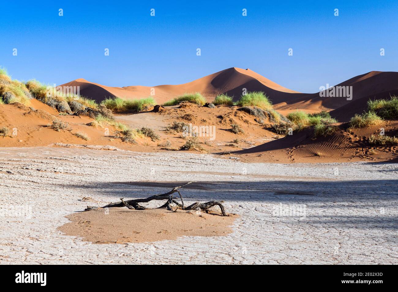 Dunes in Sossusvlei Area, Namib Naukluft Park, Namibia Stock Photo - Alamy