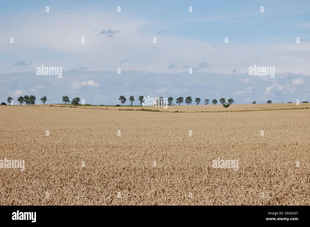 Arable field, Norfolk Stock Photo - Alamy