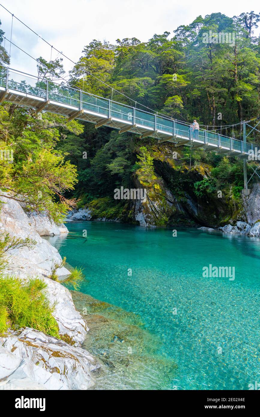Blue pools at Blue river in New Zealand Stock Photo - Alamy