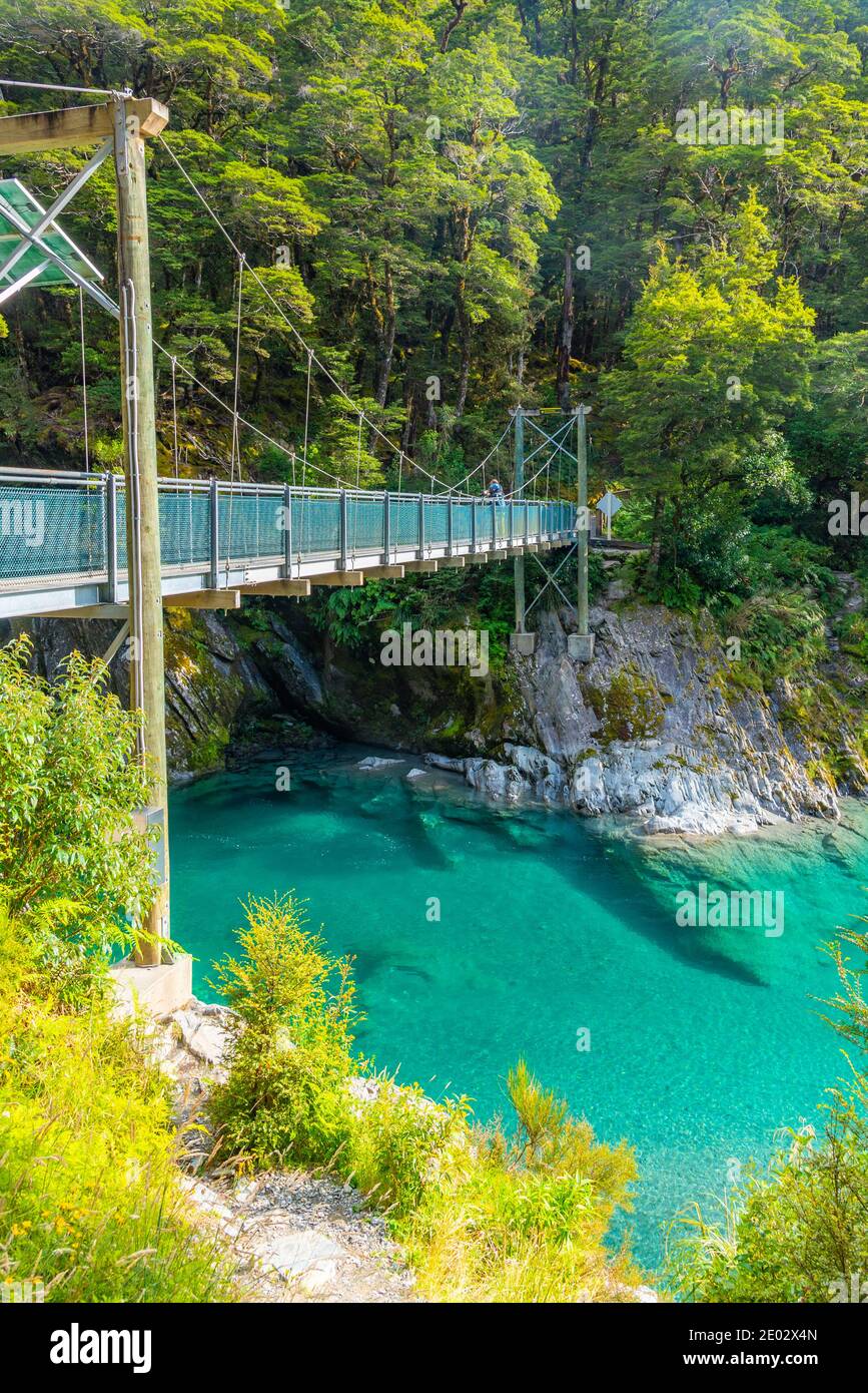 Blue pools at Blue river in New Zealand Stock Photo - Alamy
