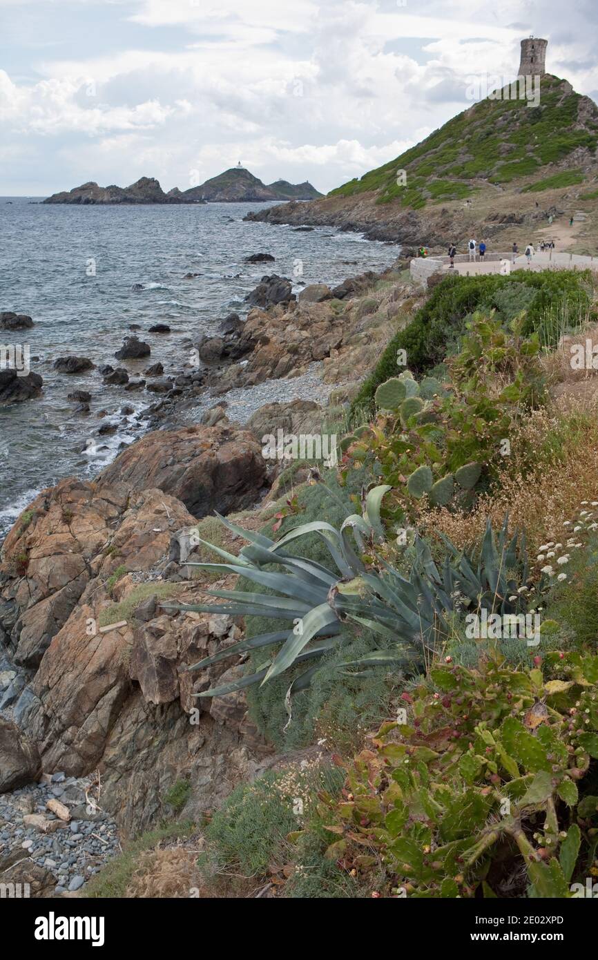 Point de la parata hi-res stock photography and images - Alamy