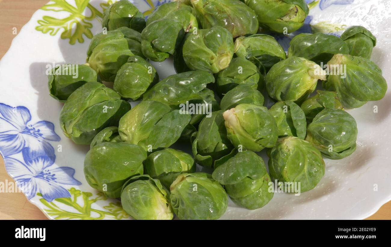 Green fresh brussel sprouts, top view, small cabbages, organic food ...