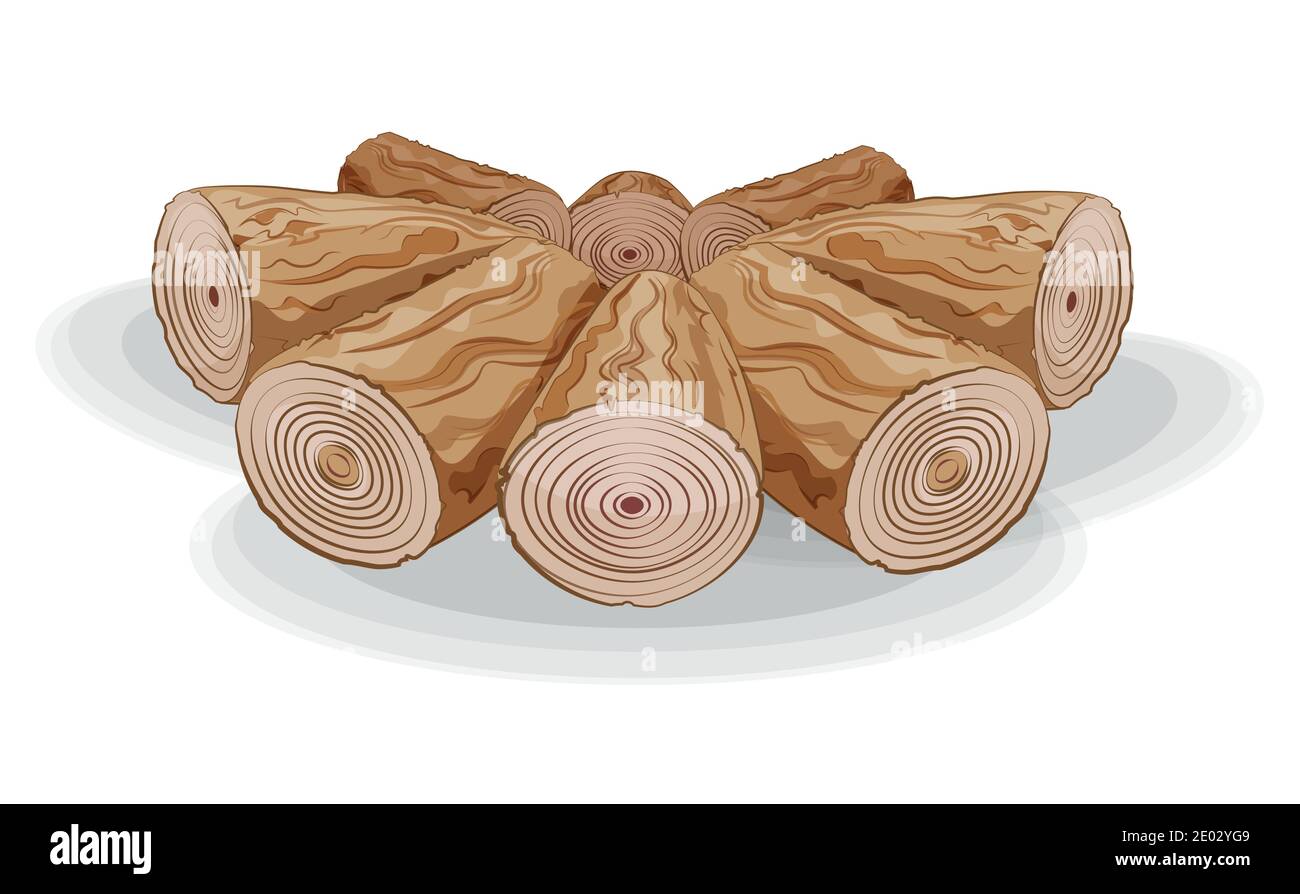 vector firewood, wooden fighting, for fireplace or fire, picture in ...
