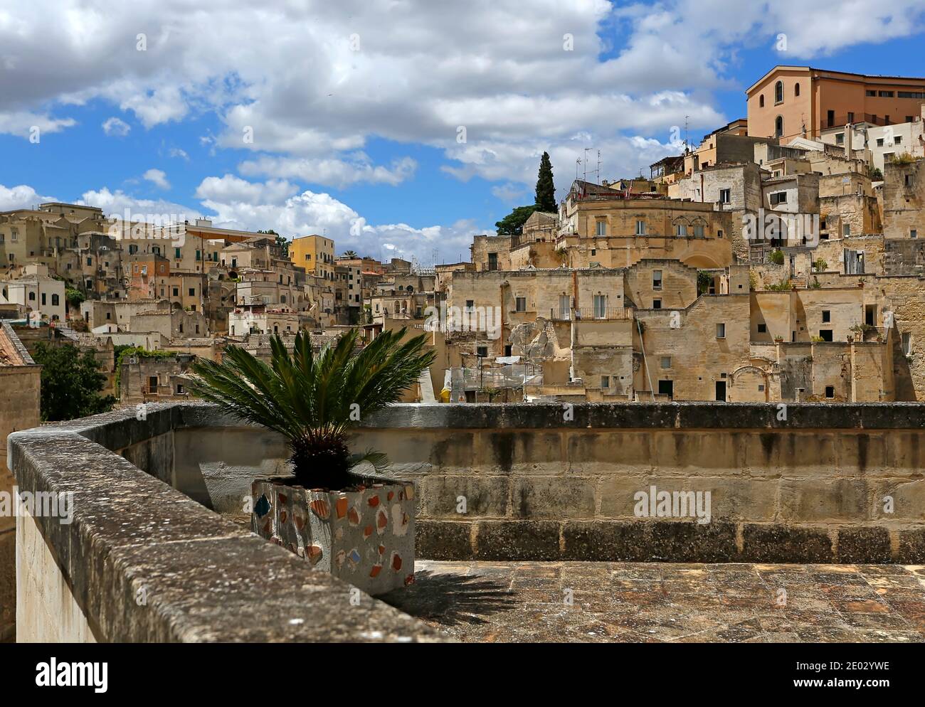 Old italian Matera city view with stony houses and caves, palm tree and ...