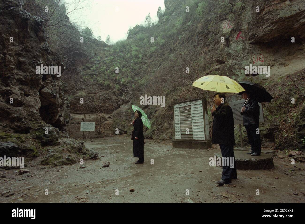 Peking man hi-res stock photography and images - Alamy