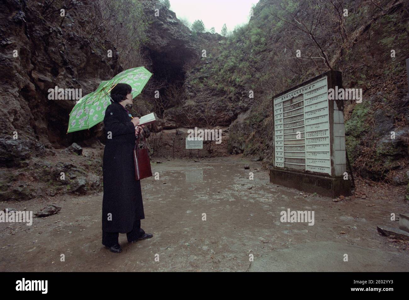 Peking man hi-res stock photography and images - Alamy