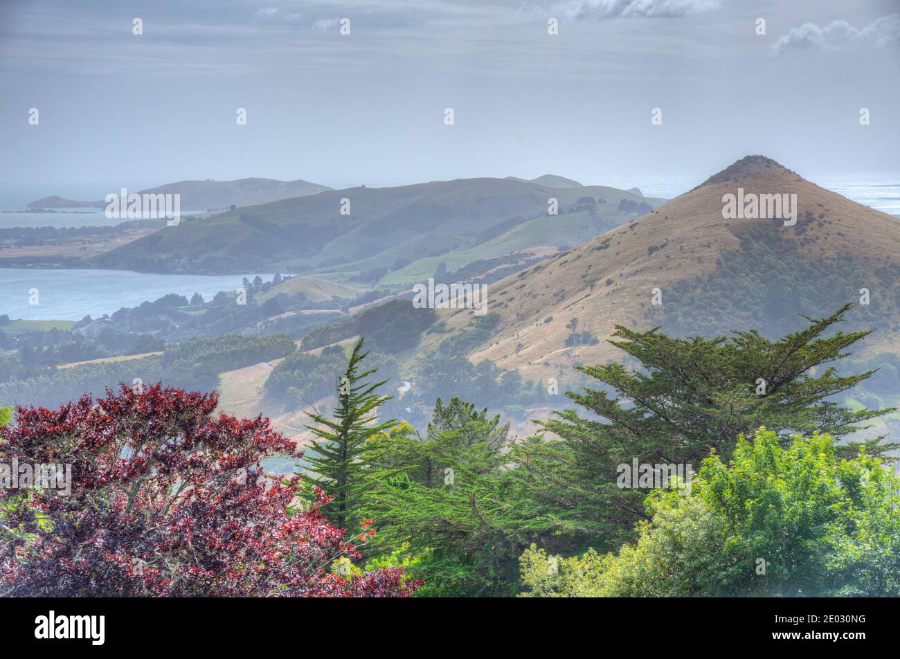 Landscape of Otago peninsula near Dunedin, New Zealand Stock Photo - Alamy