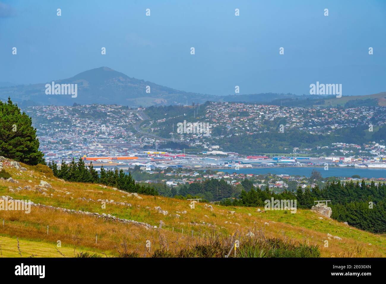 Aerial view of Dunedin in New Zealand Stock Photo - Alamy