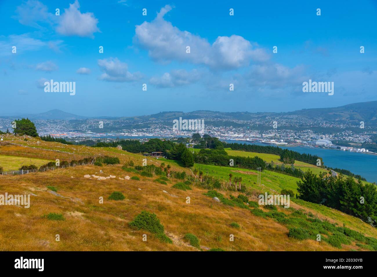 Aerial view of Dunedin in New Zealand Stock Photo - Alamy