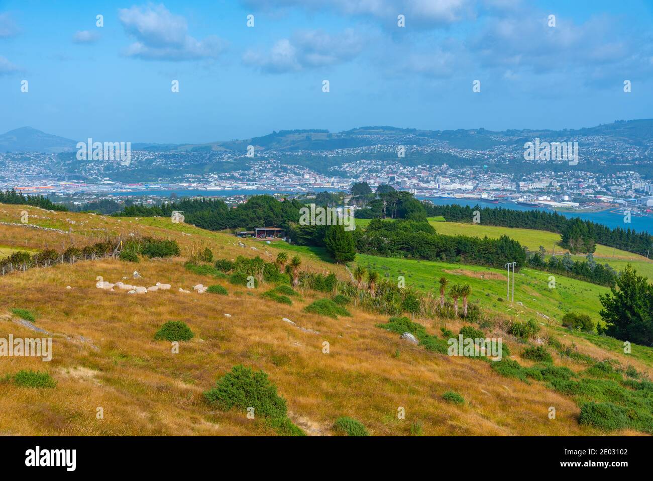Aerial view of Dunedin in New Zealand Stock Photo - Alamy