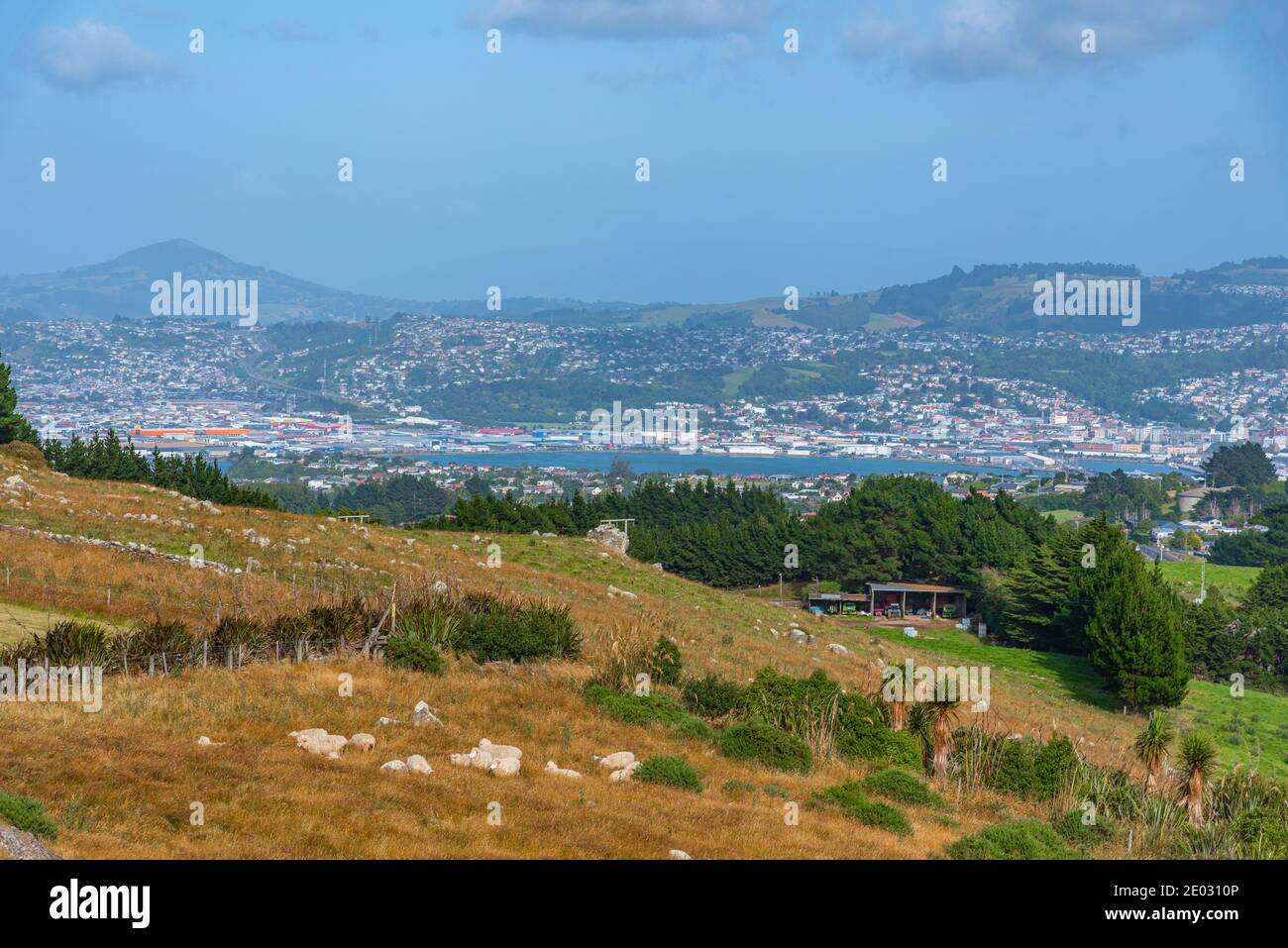 Aerial view of Dunedin in New Zealand Stock Photo - Alamy