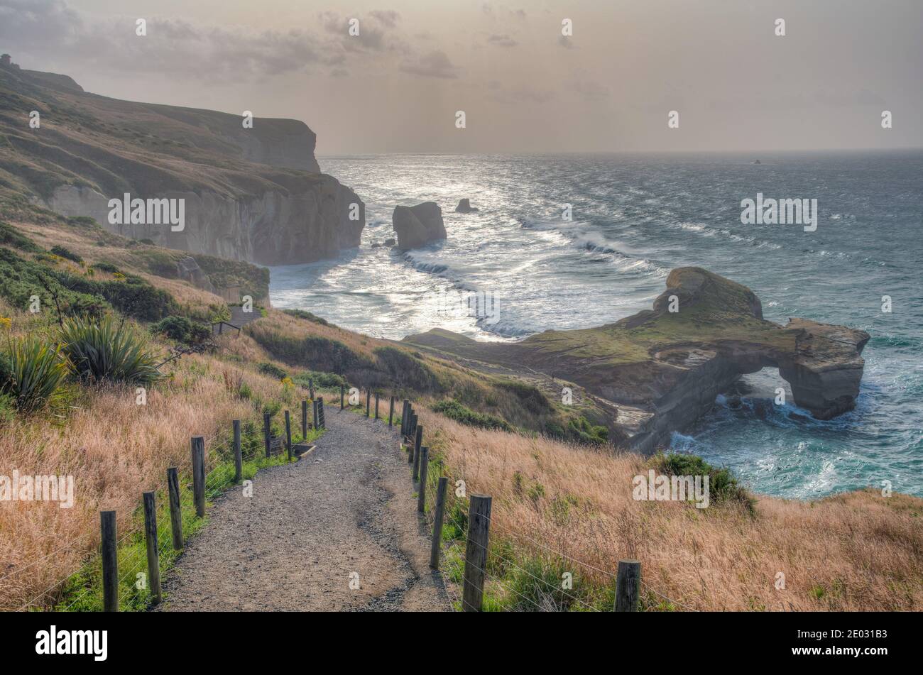 Landscape of Tunnel beach near Dunedin, New Zealand Stock Photo - Alamy