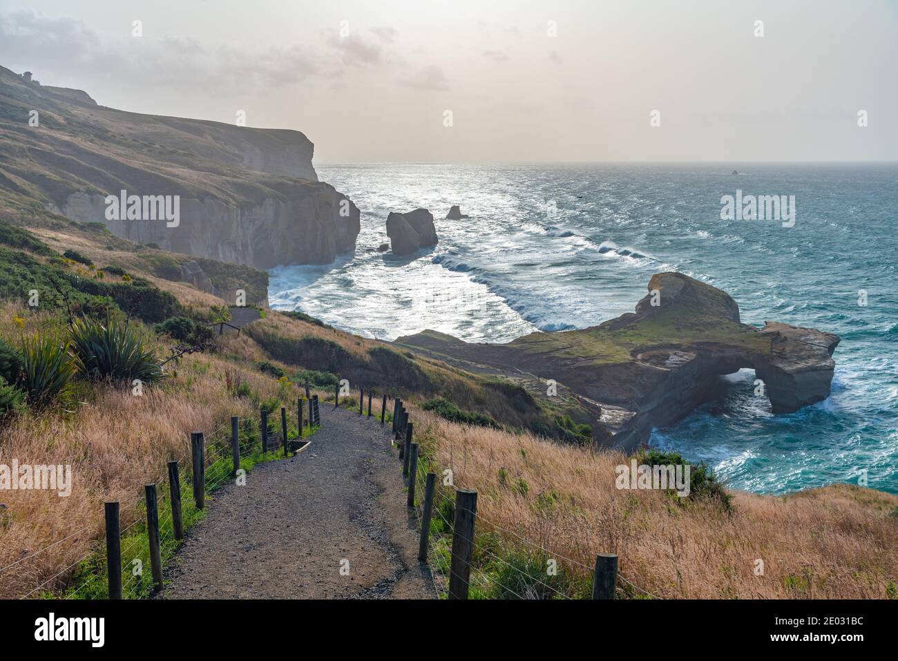 Landscape of Tunnel beach near Dunedin, New Zealand Stock Photo - Alamy