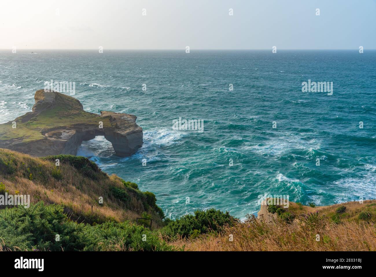 Landscape of Tunnel beach near Dunedin, New Zealand Stock Photo - Alamy
