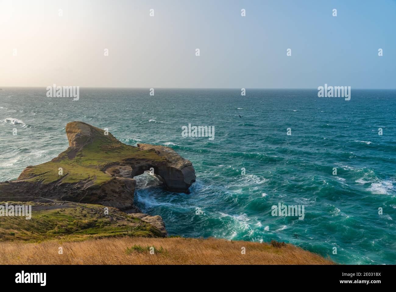 Landscape of Tunnel beach near Dunedin, New Zealand Stock Photo - Alamy