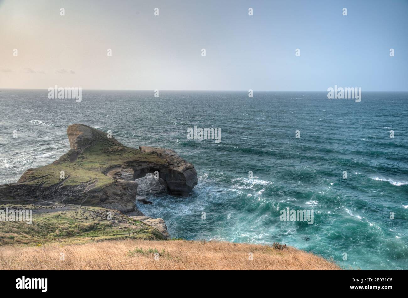 Landscape of Tunnel beach near Dunedin, New Zealand Stock Photo - Alamy