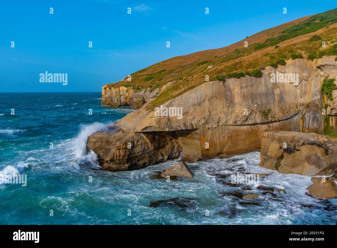 Landscape of Tunnel beach near Dunedin, New Zealand Stock Photo - Alamy