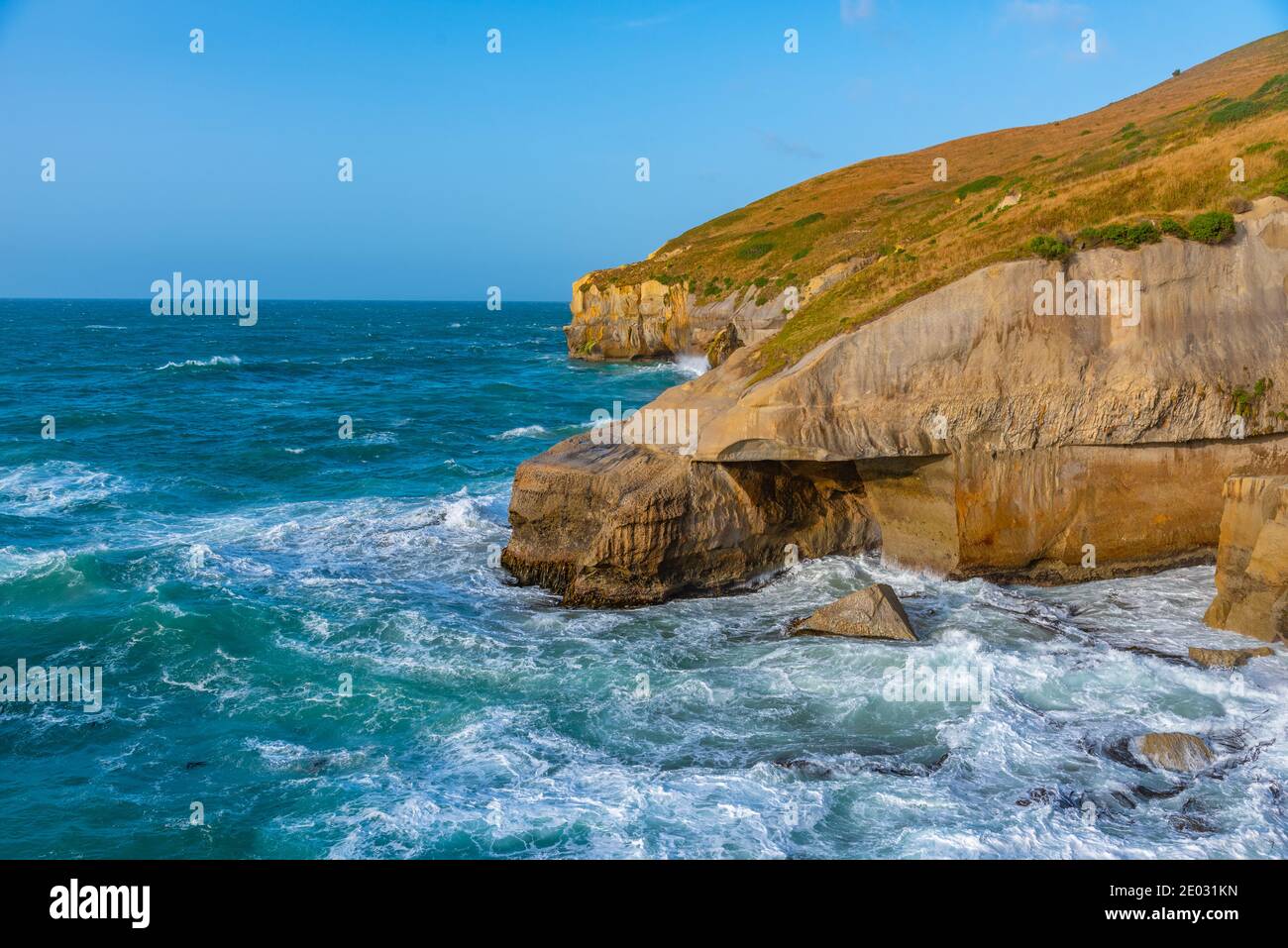 Landscape of Tunnel beach near Dunedin, New Zealand Stock Photo - Alamy