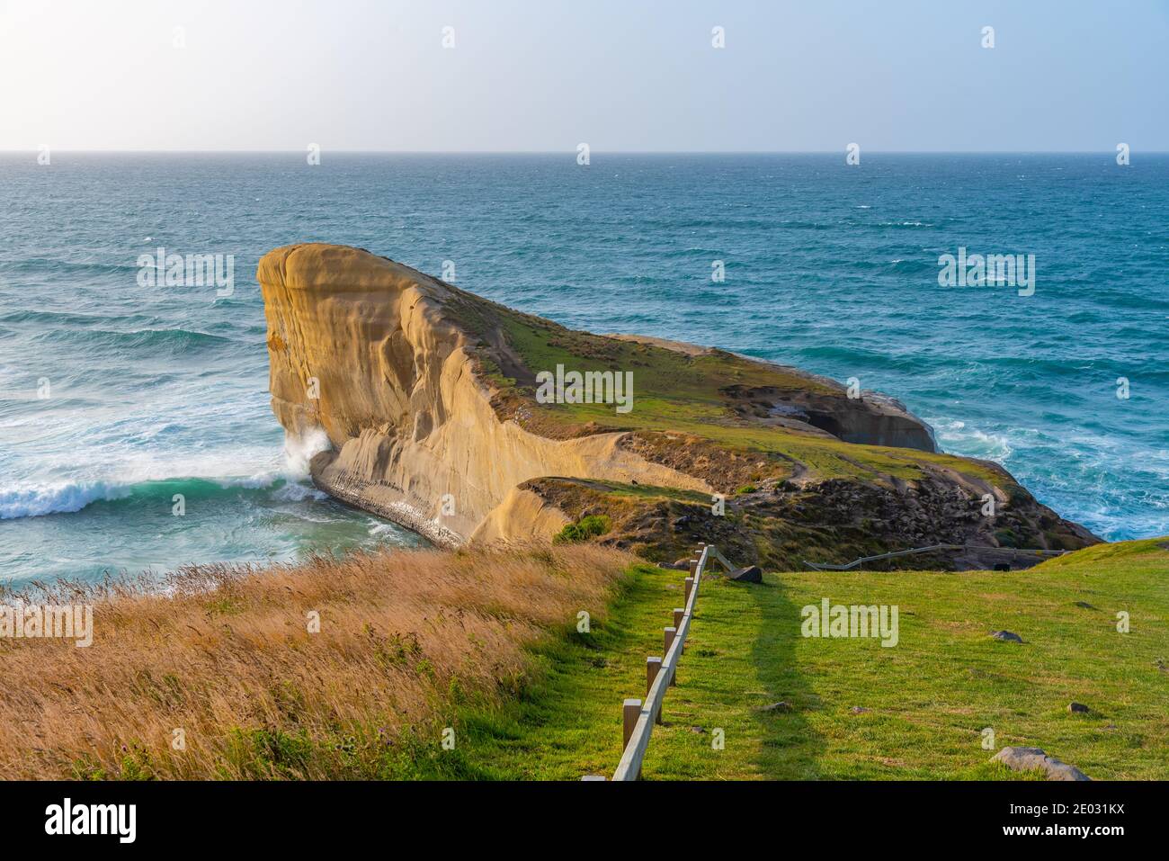 Landscape of Tunnel beach near Dunedin, New Zealand Stock Photo - Alamy