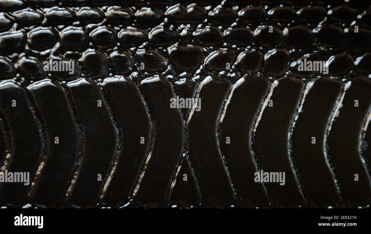 Snake texture hi-res stock photography and images - Alamy