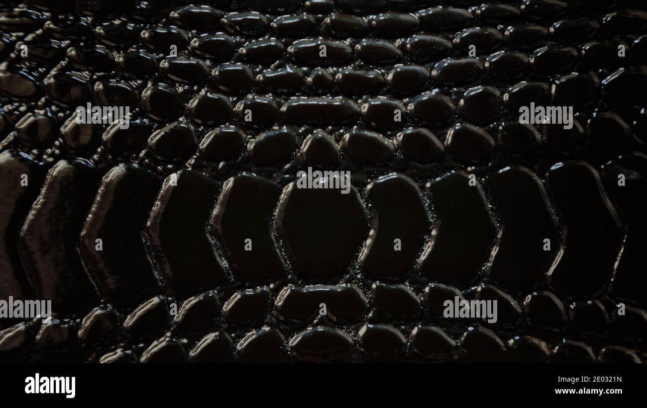 Black Snake Skin Texture
