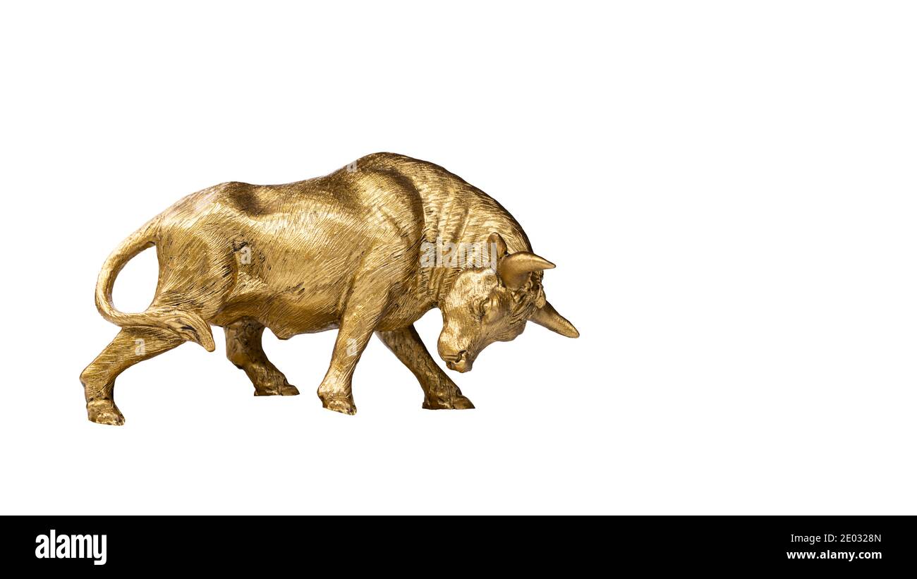 metal golden bull isolated on white background , holidays and vacations ...