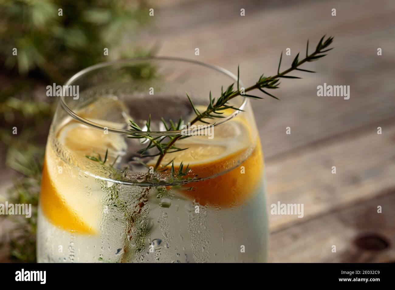 Alcohol drink (gin tonic cocktail) with lemon, juniper branch, and ice ...