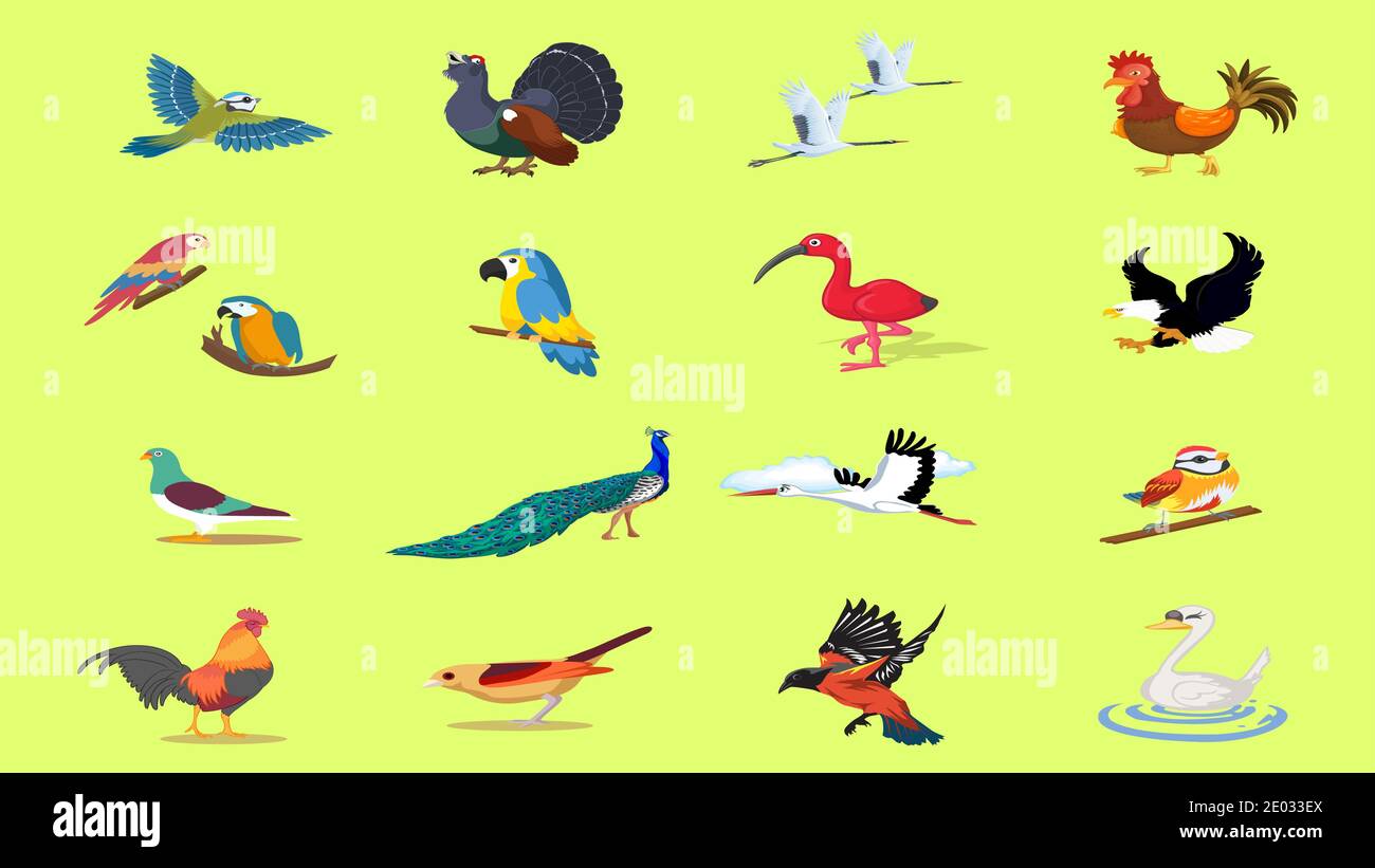 Animals bird collection vector art Stock Vector Image & Art - Alamy