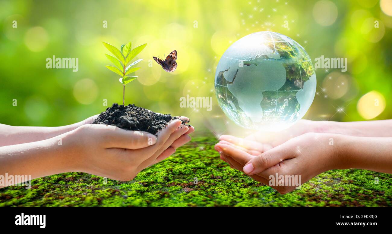 Concept Save the world save environment The world is in the grass of ...